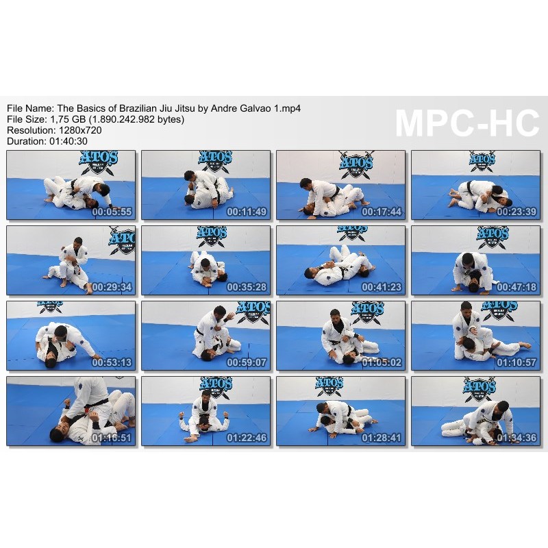 The Basics of Brazilian Jiu Jitsu by Andre Galvao